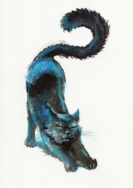 'Original Ink and Pencil Drawing . Cute Black Blue Cat Stretching' by ...